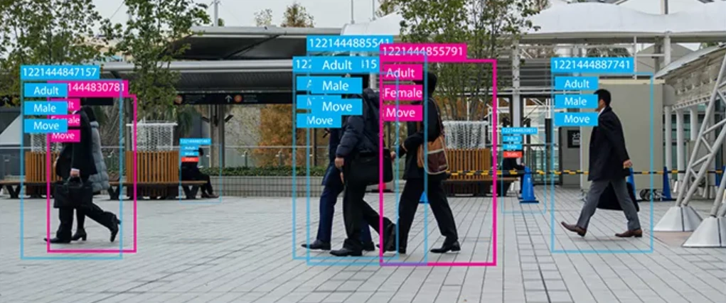 Ultimate Guide to Image Annotation: Tools & Techniques